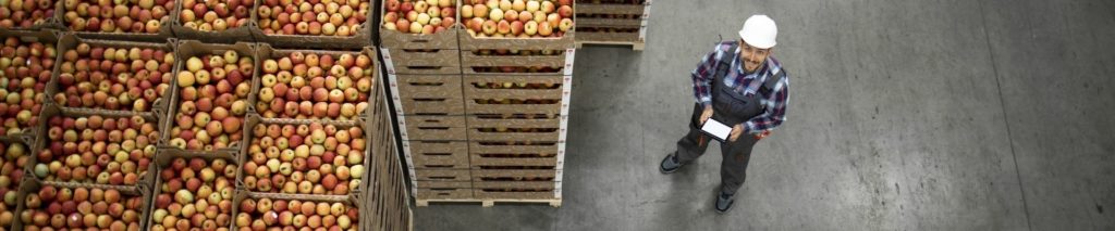 Work Healthy Australia | Fit for task